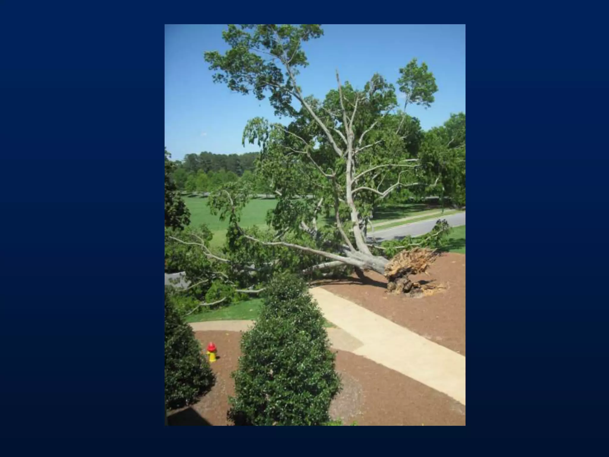 Berry College Storm Damage 2 | PPT