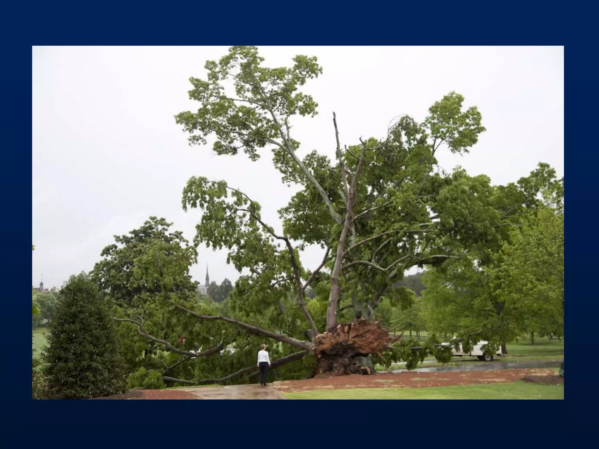 Berry College Storm Damage 2 | PPTX