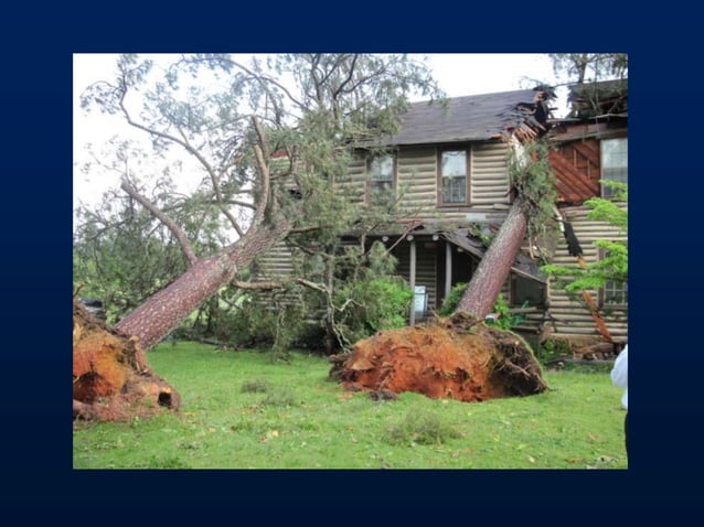 Berry College Storm Damage 2 | PPT | Free Download