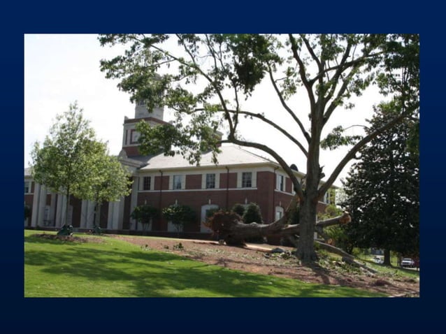 Berry College Storm Damage 2 | PPT