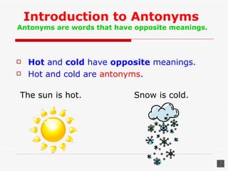 Berry u09d1minilesson | PPT
