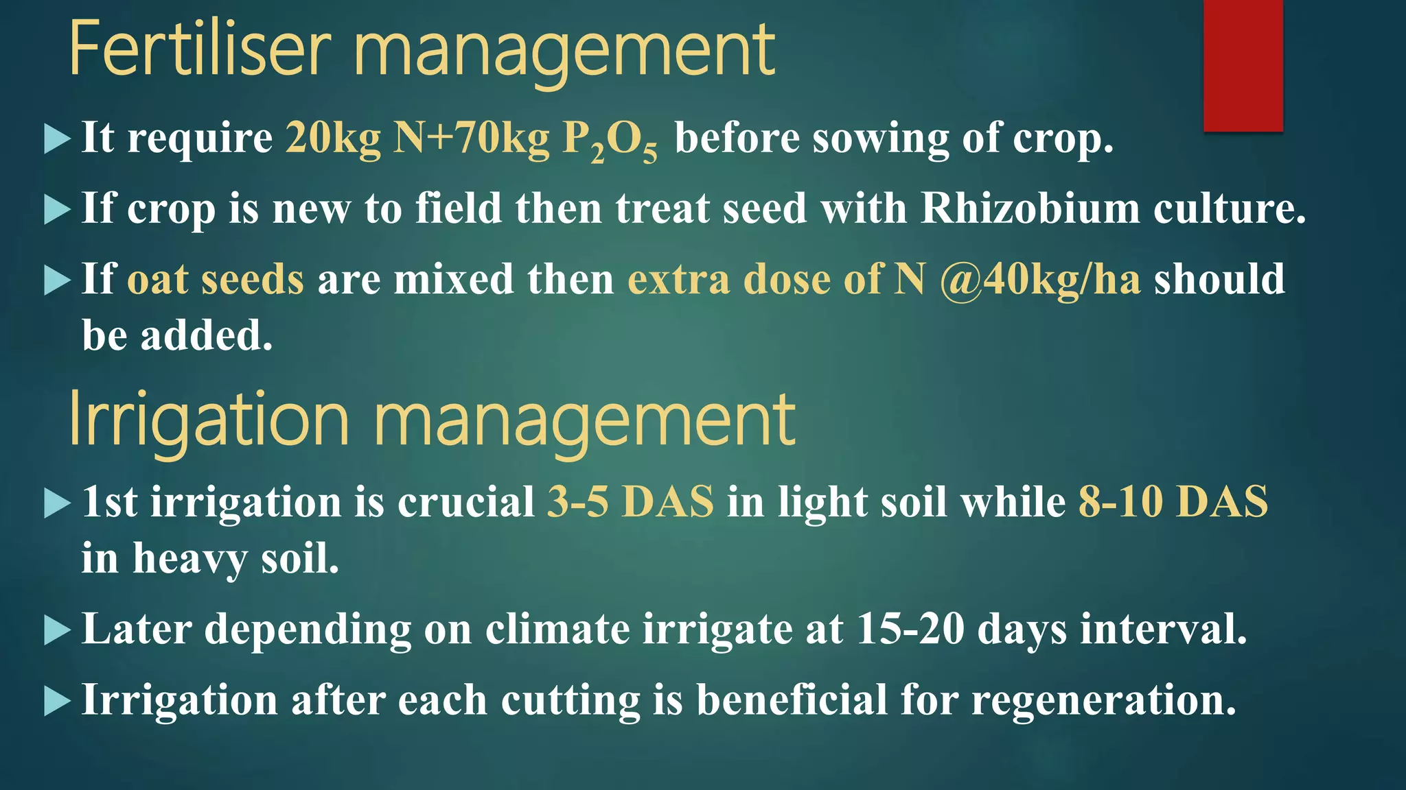 Berseem fodder crop production | PPTX