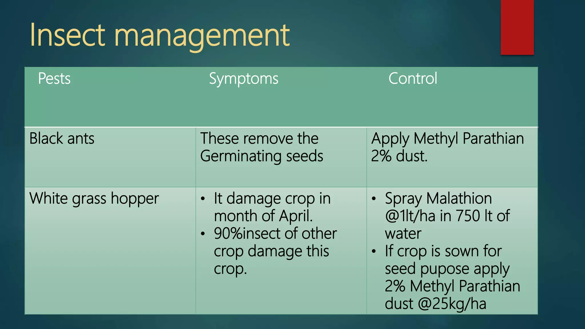 Berseem fodder crop production | PPTX