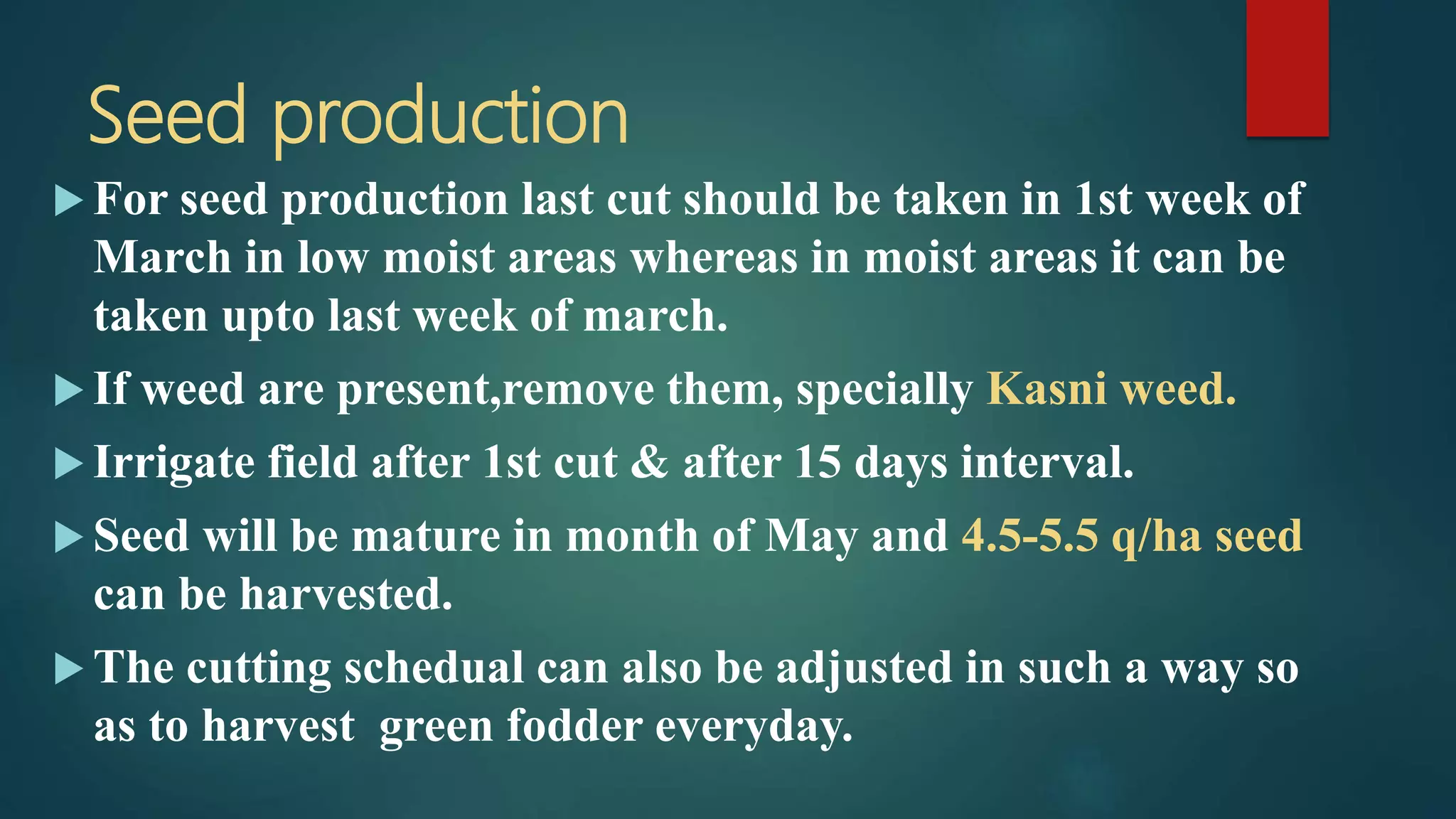 Berseem fodder crop production | PPTX