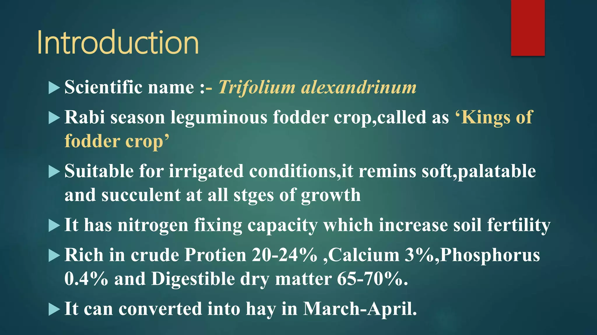 Berseem fodder crop production | PPTX