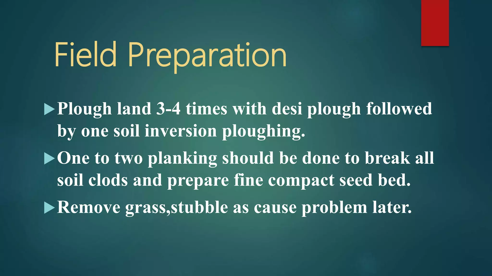 Berseem fodder crop production | PPTX