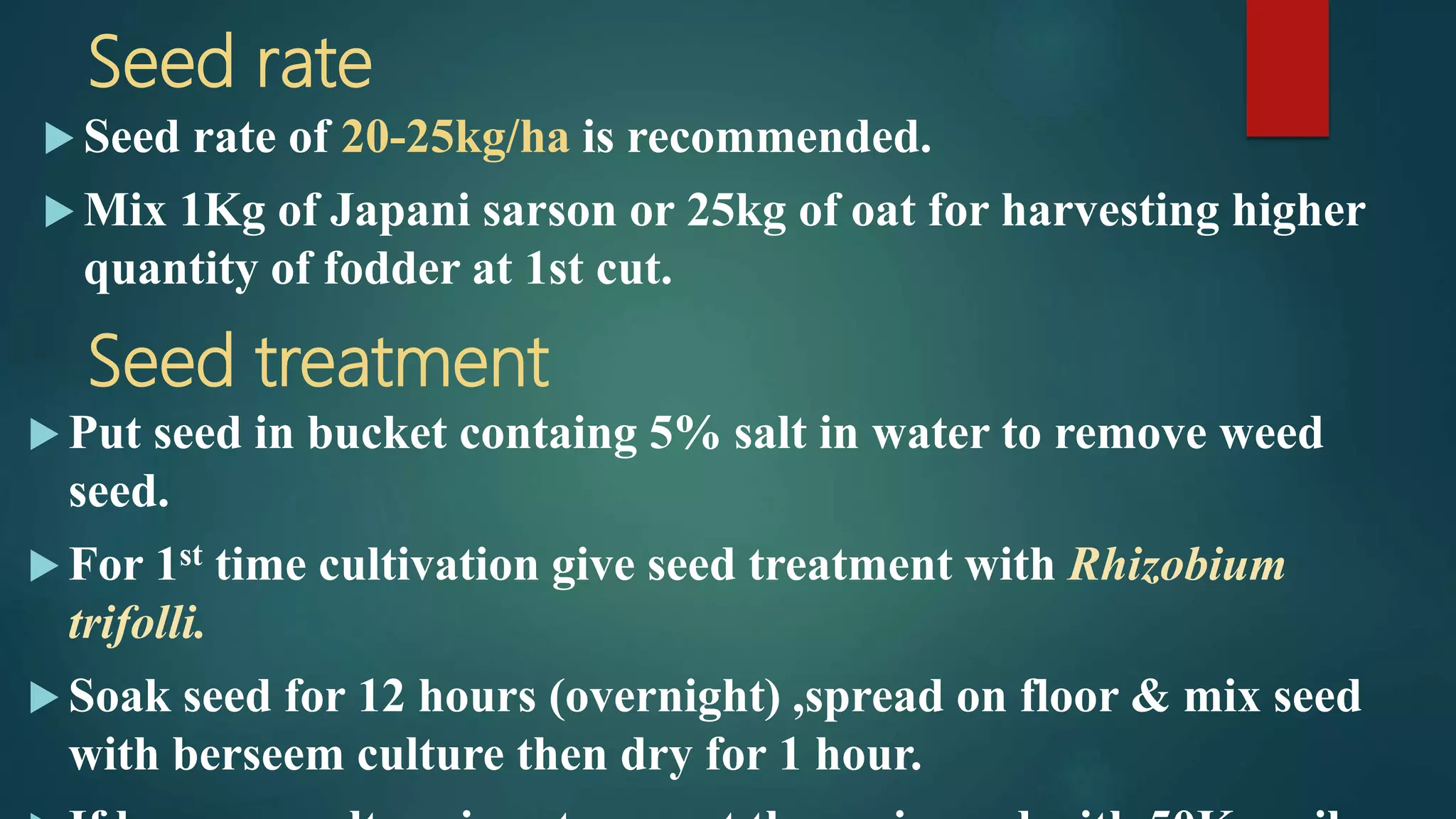 Berseem fodder crop production | PPTX