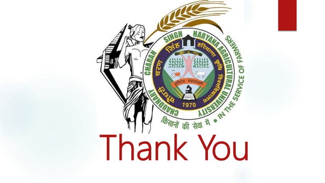 Berseem fodder crop production | PPTX