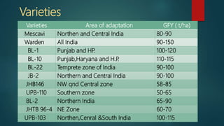 Berseem fodder crop production | PPTX
