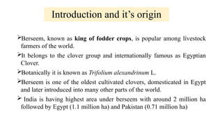 berseem crop production and its cultivation .pptx