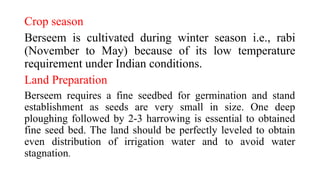 berseem crop production and its cultivation .pptx