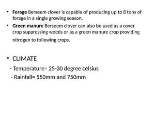 Cultivation practice of Berseem legume.pptx