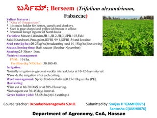 Berseem Santosh and Sanjay.pptx