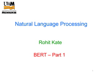 Natural Language Processing detailed description | PPTX
