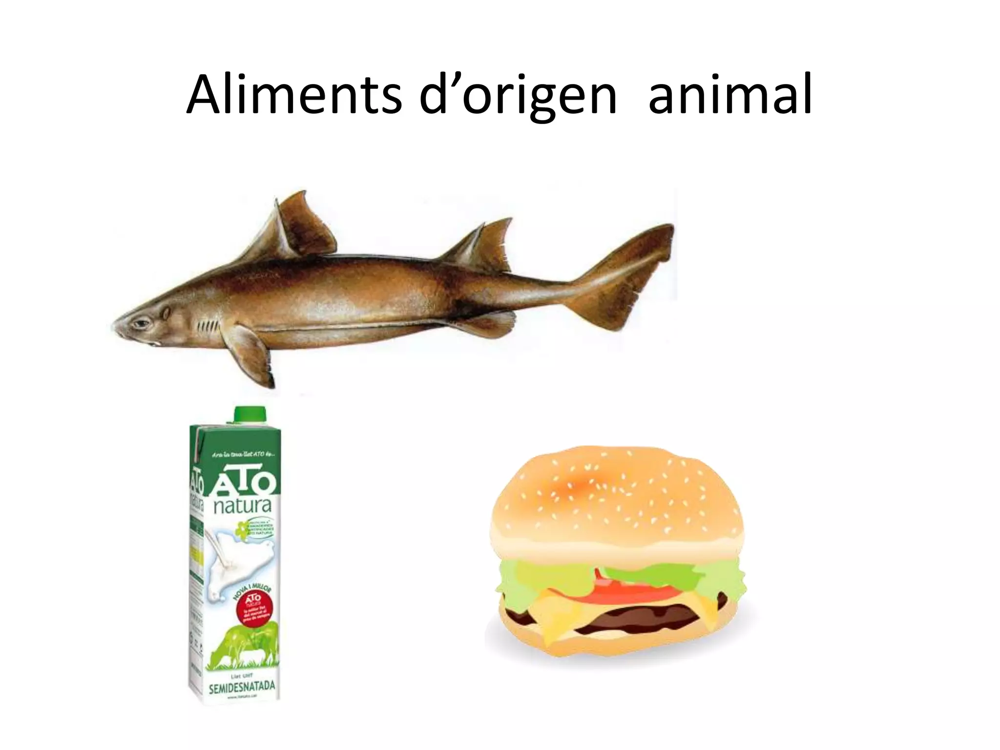 Berta i mario | PPTX