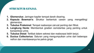 Bertha T Wulandari - Sistem Urinasi & Ginjal.pptx