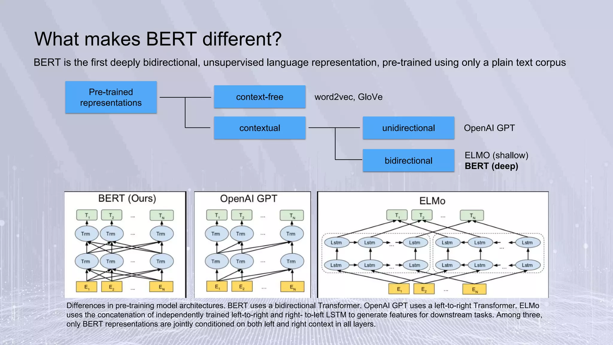 BERT introduction | PPTX