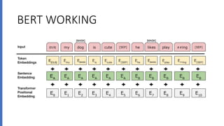BERT MODULE FOR TEXT CLASSIFICATION.pptx