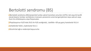 bertolotti sunu.pptx