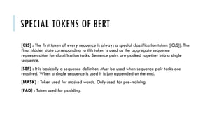 BERT Finetuning Webinar Presentation | PDF