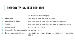 BERT Finetuning Webinar Presentation | PDF