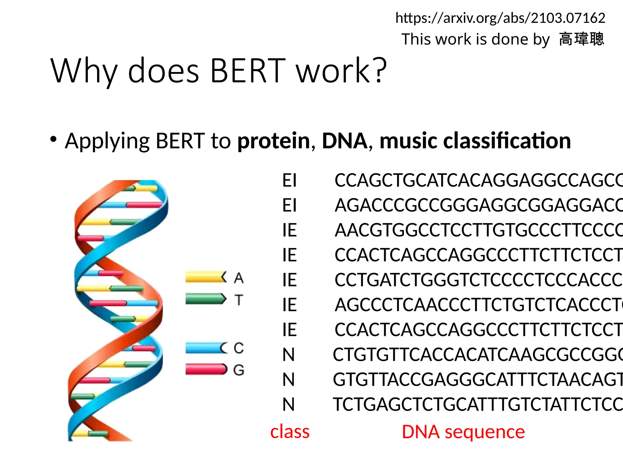 self-supervised learning and Bert from a | PPT