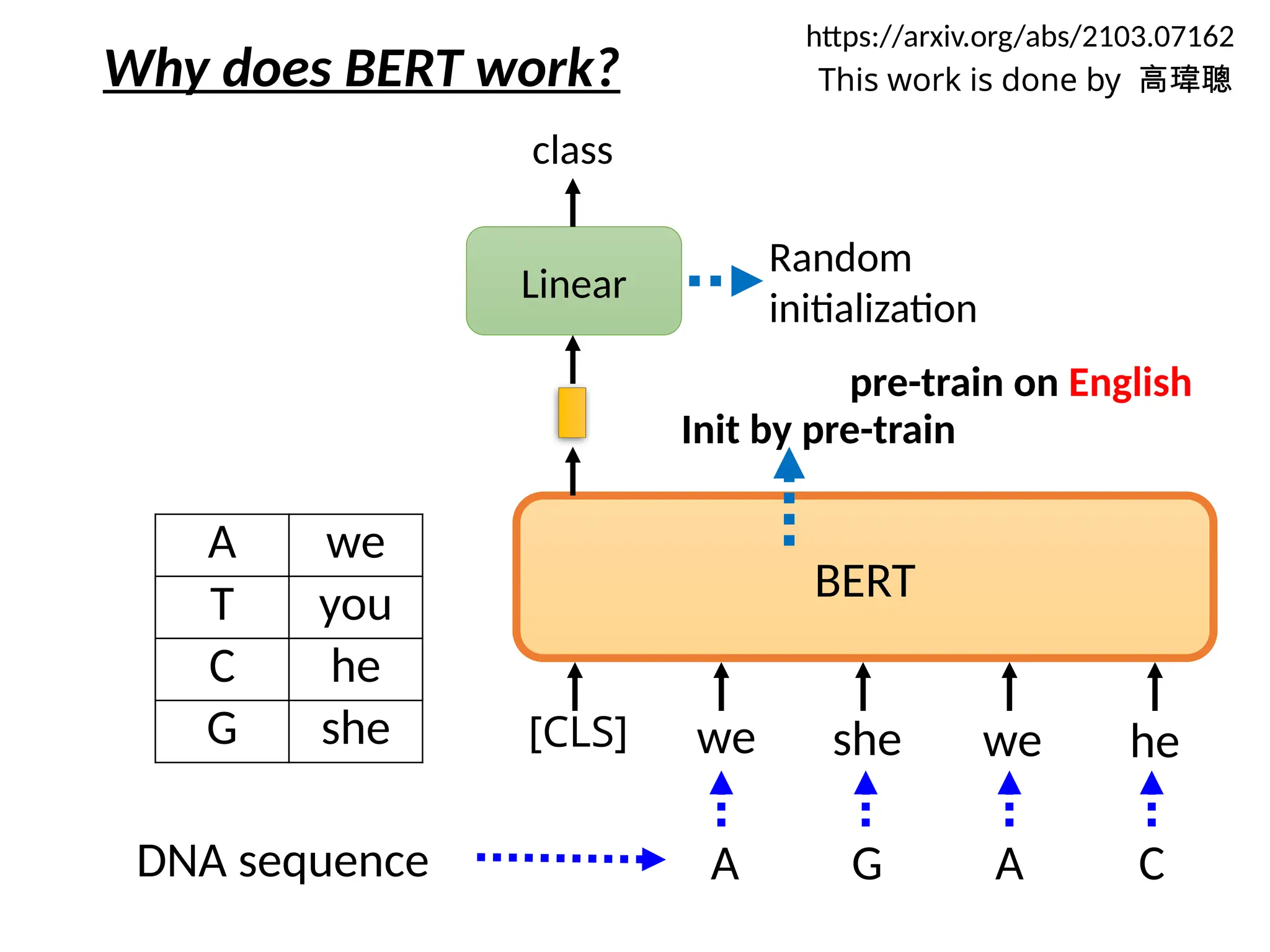 self-supervised learning and Bert from a | PPTX