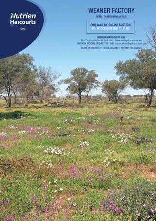 Besm, thargomindah Documents | PDF | Australia and Oceania Travel ...