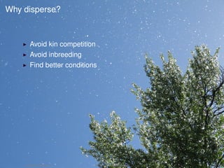 Evolution of dispersal in spatially and temporarily heterogeneous ...