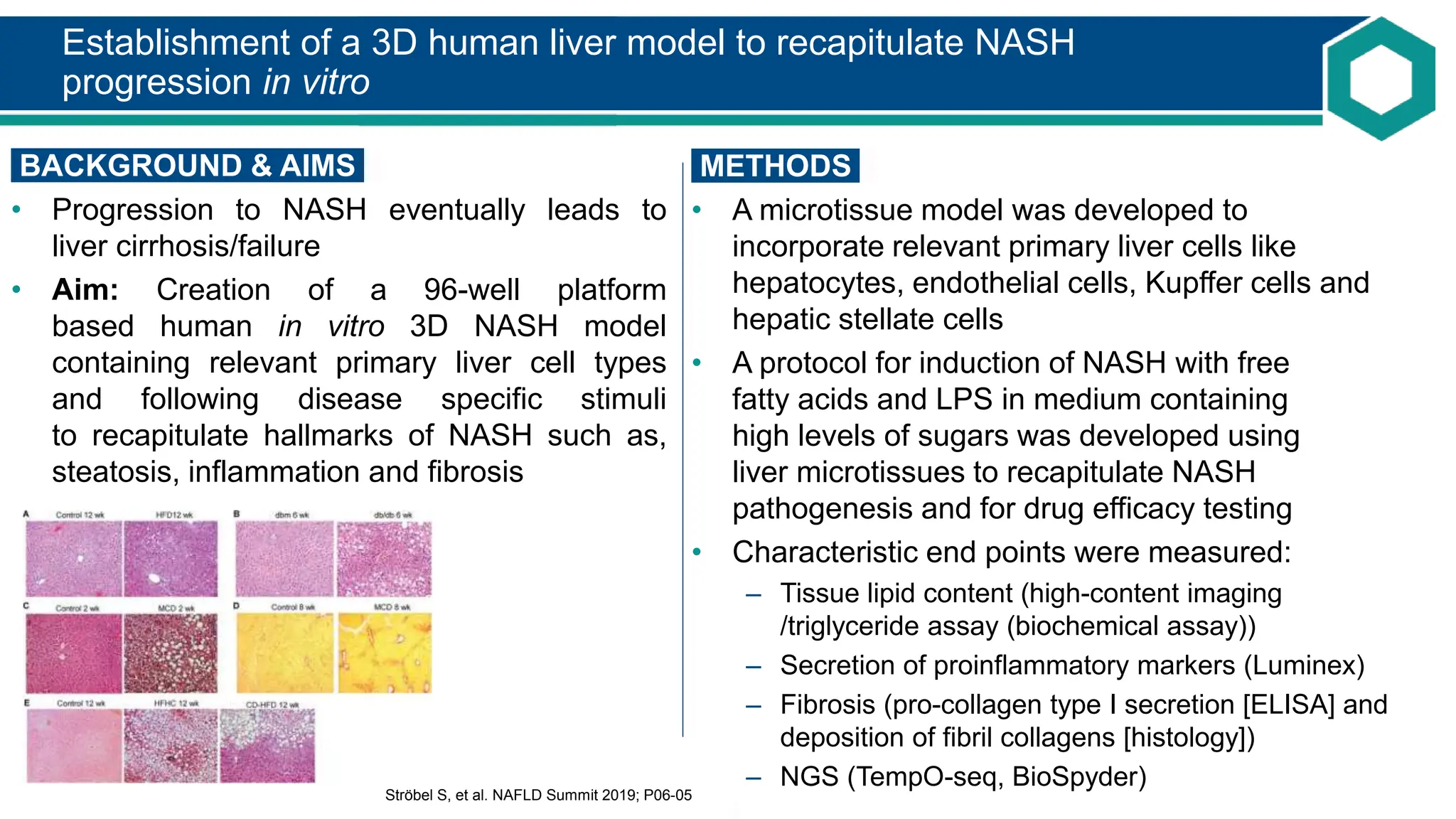 EXPERIMENTAL MODELS FOR NASH NAFLD LIVER DISEASES.pptx