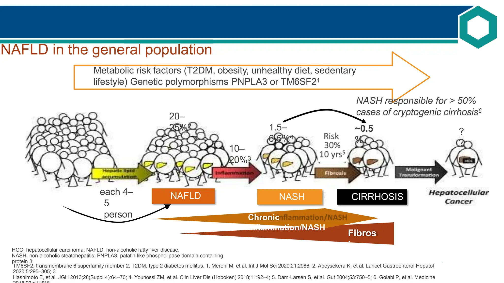 EXPERIMENTAL MODELS FOR NASH NAFLD LIVER DISEASES.pptx