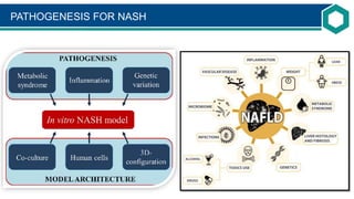 EXPERIMENTAL MODELS FOR NASH NAFLD LIVER DISEASES.pptx