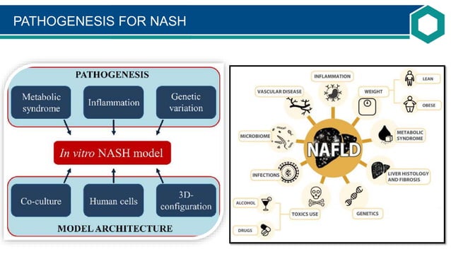 EXPERIMENTAL MODELS FOR NASH NAFLD LIVER DISEASES.pptx