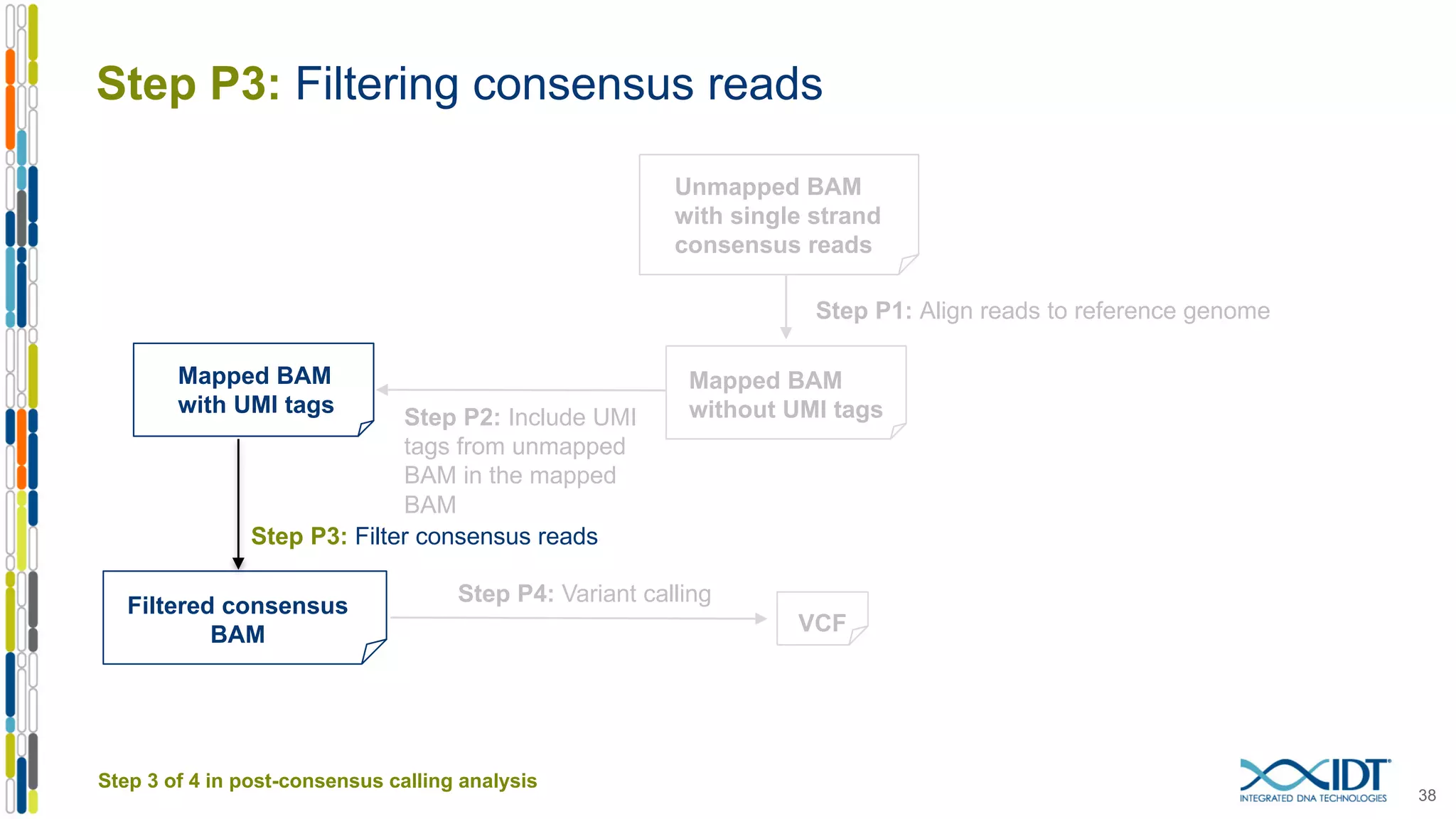 Best practices for data analysis when using UMI adapters to improve variant detection | PDF
