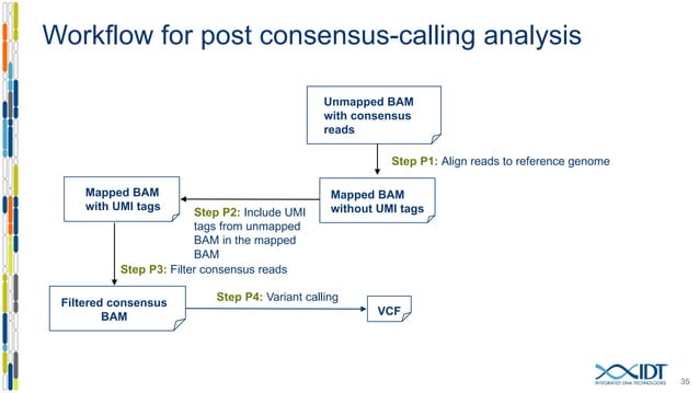 Best practices for data analysis when using UMI adapters to improve variant detection | PDF ...