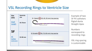 Best Practices to Achieve Quality Pressure-Volume Loop Data in Large ...