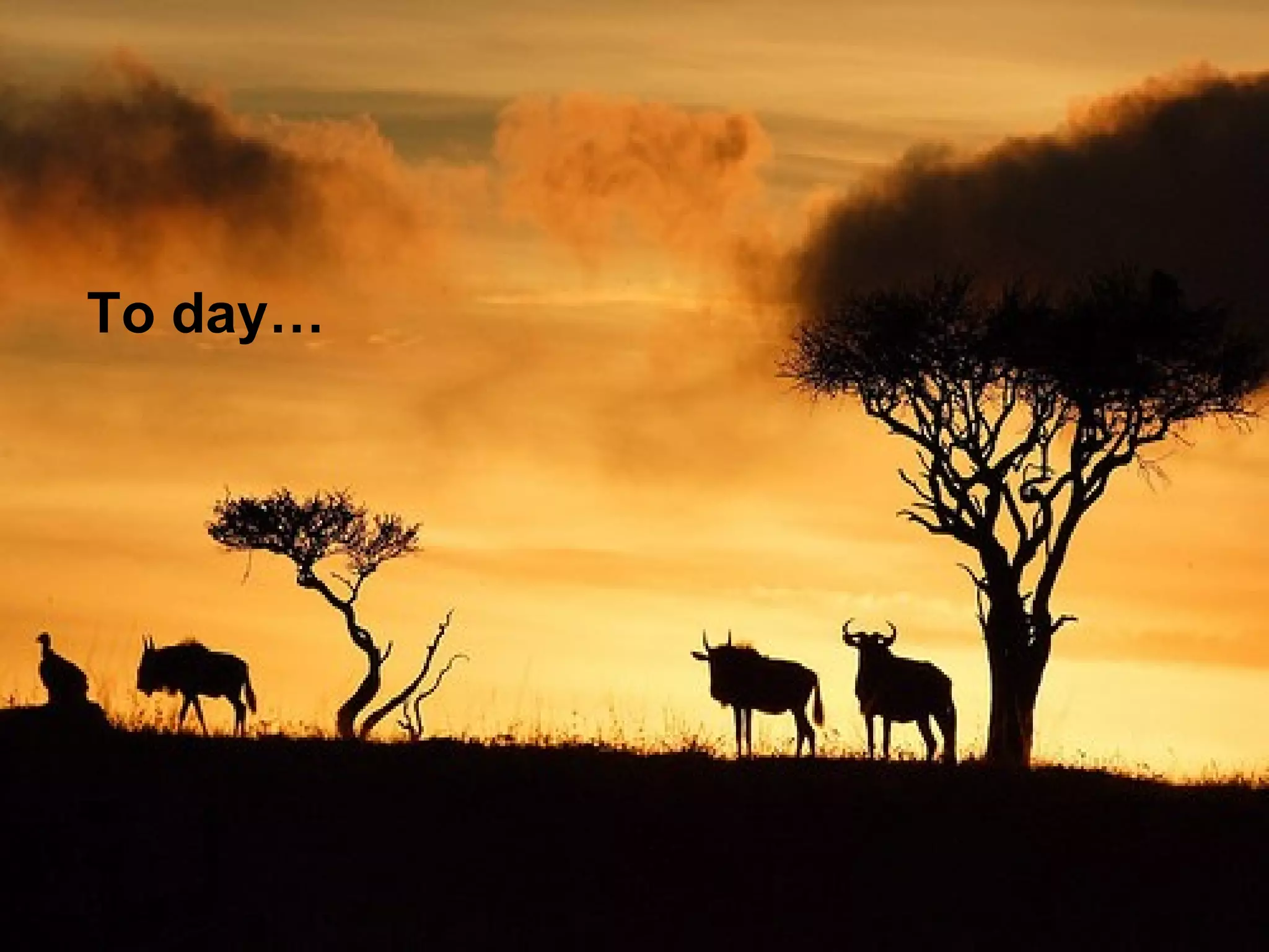 Truth in Nature | PPT