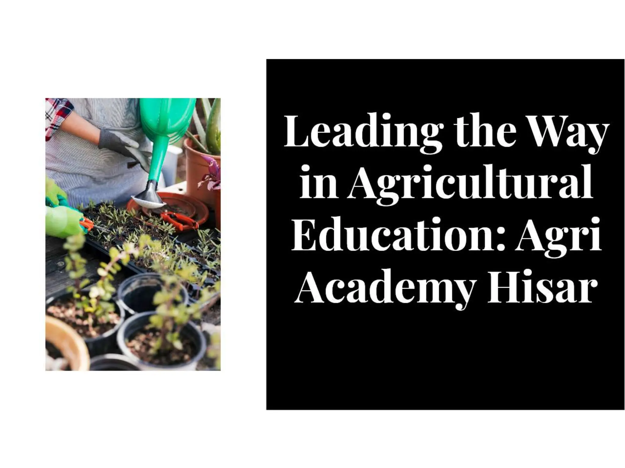 Leading the wayin Agricultural Education | PPTX