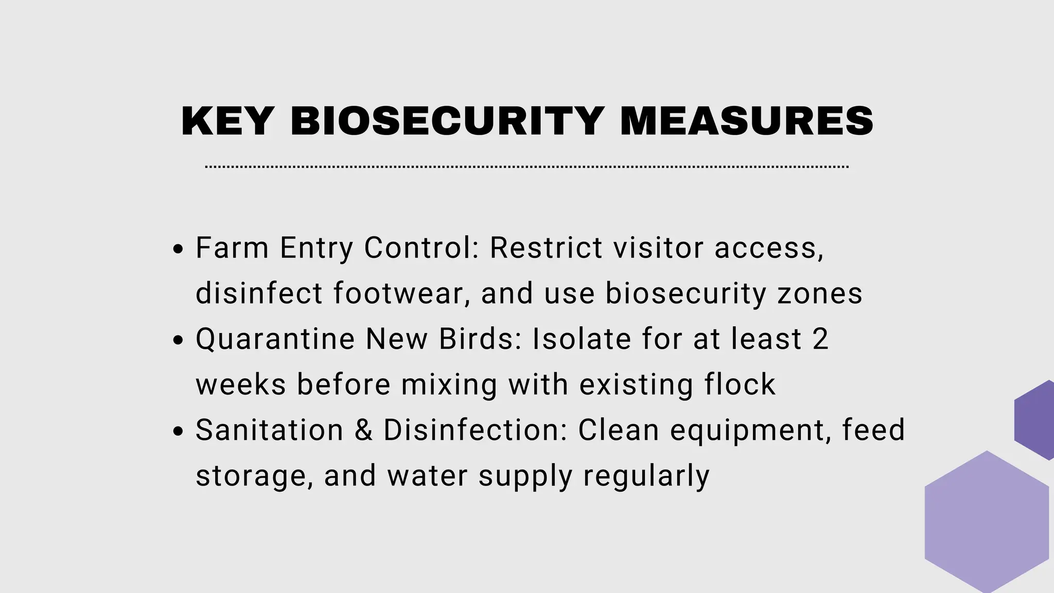 Best Biosecurity Measures for Poultry Farms.pdf