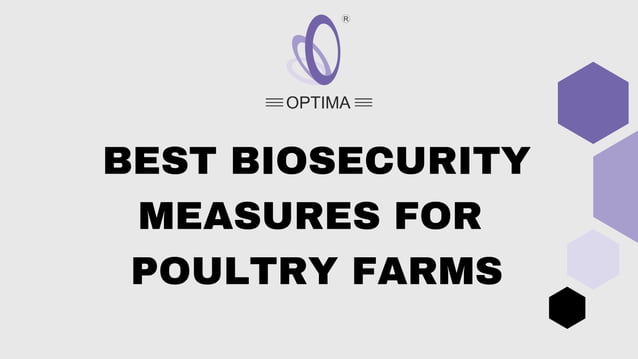 Best Biosecurity Measures for Poultry Farms.pdf