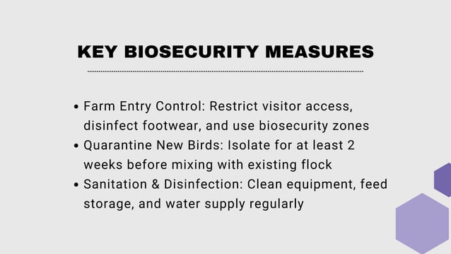 Best Biosecurity Measures for Poultry Farms.pdf