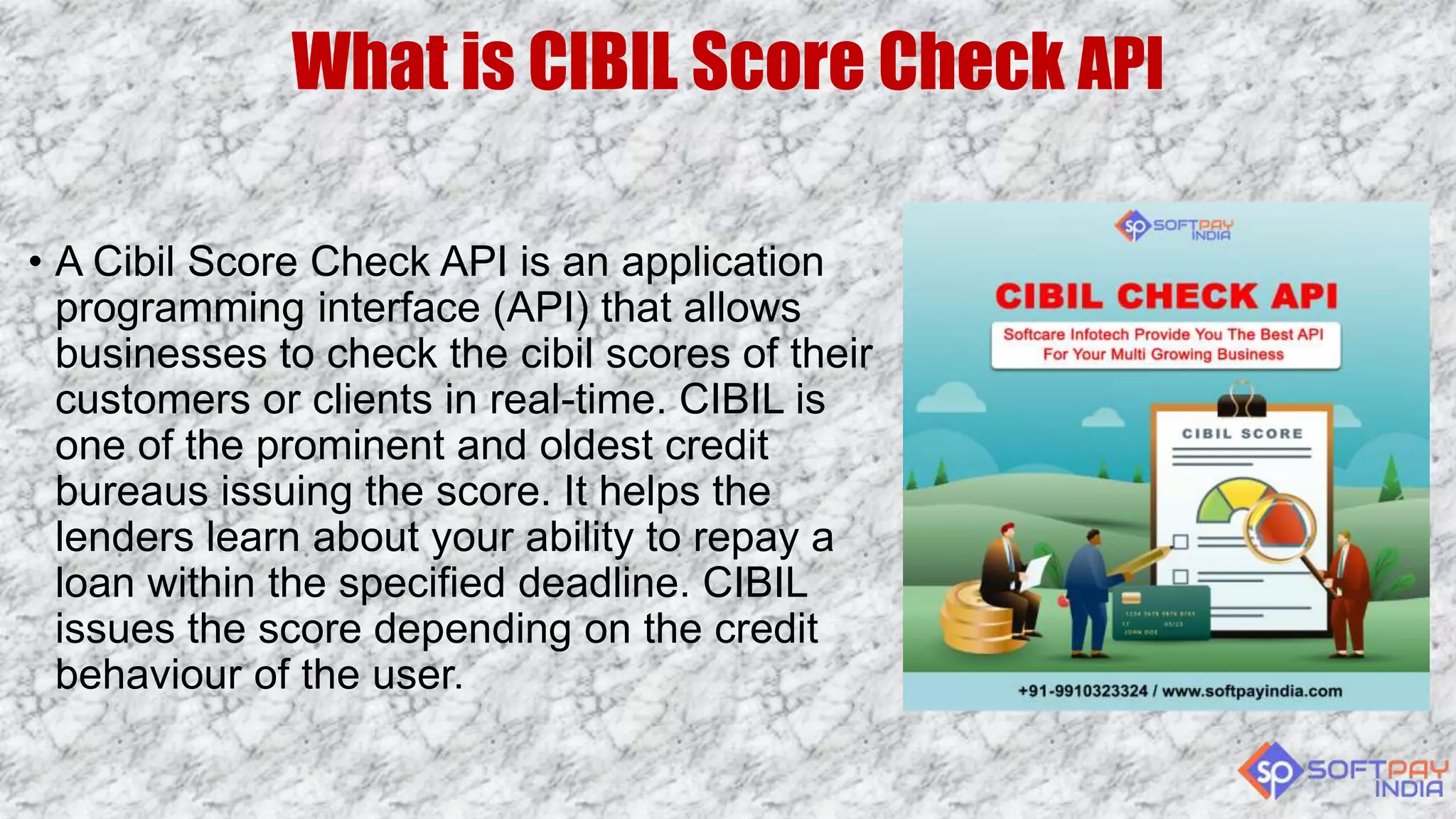 Best Cibil Score Check API at best Price.pptx