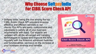 Best Cibil Score Check API at best Price.pptx