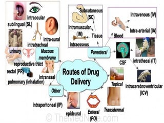 Types of Dosage Forms in pharmaceutics (route of administration) | PPTX