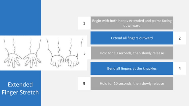 Best Ergonomic Exercises to Do at the Workplace | PPT