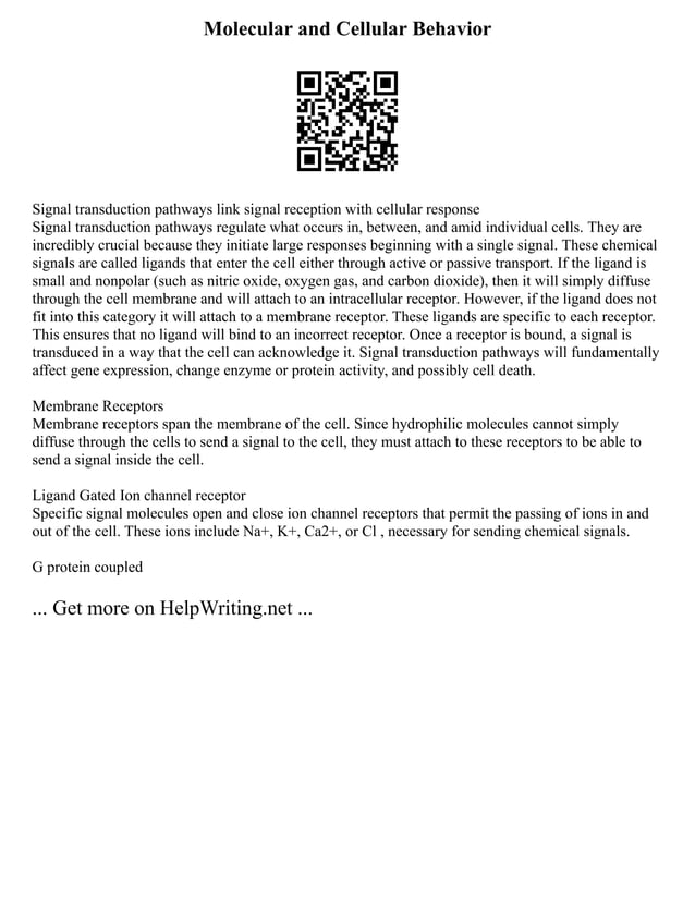 Best Film Analysis Essay Examples PNG - Scholarship | PDF