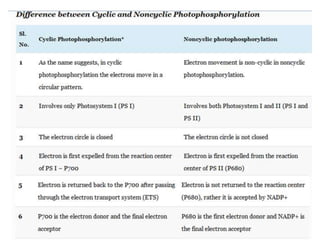 plant different pathway | PPTX