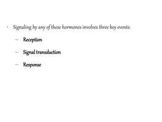 Best Hormones and the Endocrine System-1.ppt