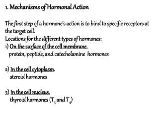 Best Hormones and the Endocrine System-1.ppt