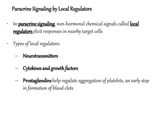 Best Hormones and the Endocrine System-1.ppt
